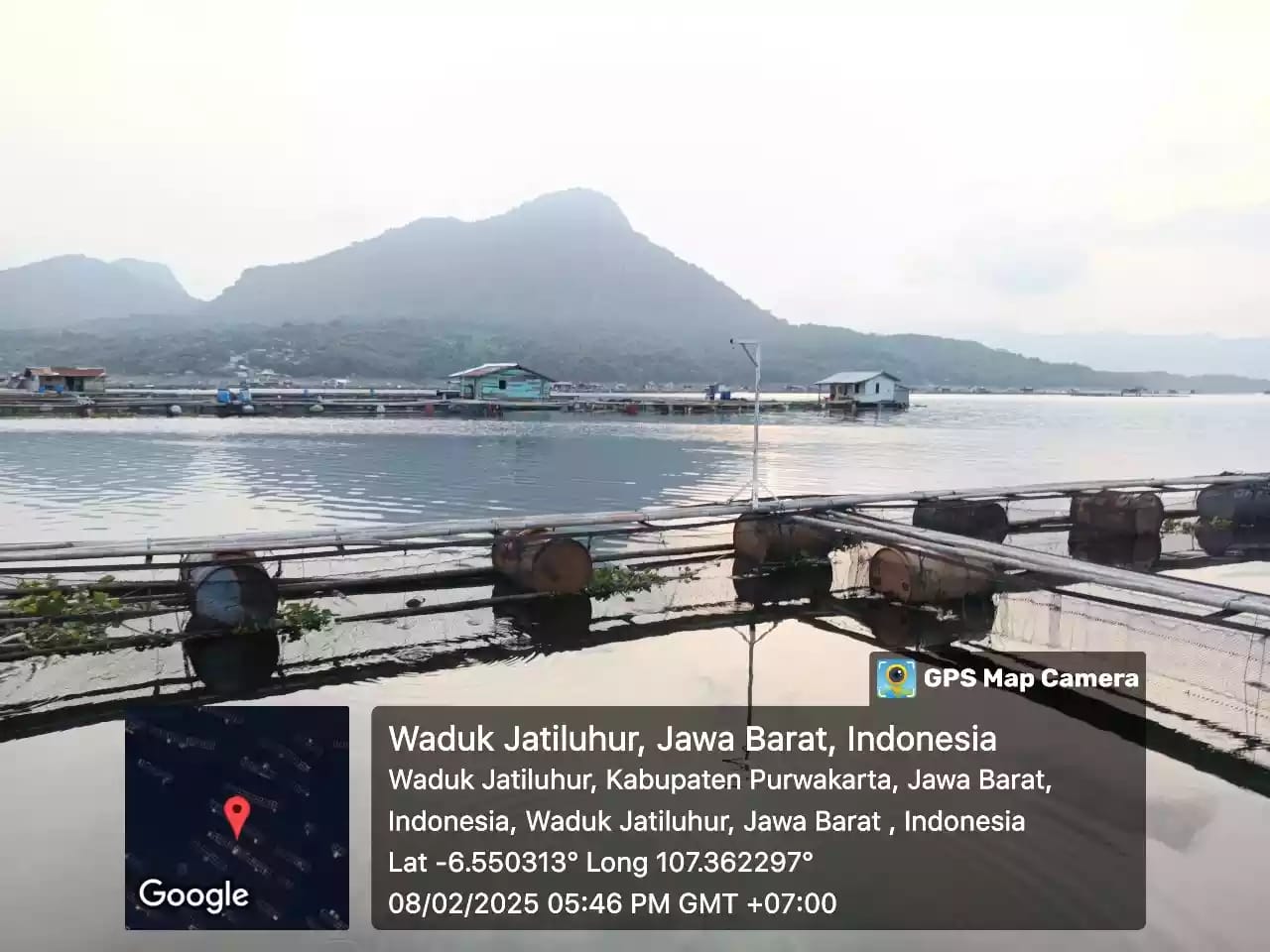 KKP: 100 Ton Ikan Senilai Rp2,2 Miliar Mati di Waduk Jatiluhur - HotFokus - Fokus Berita Tekini